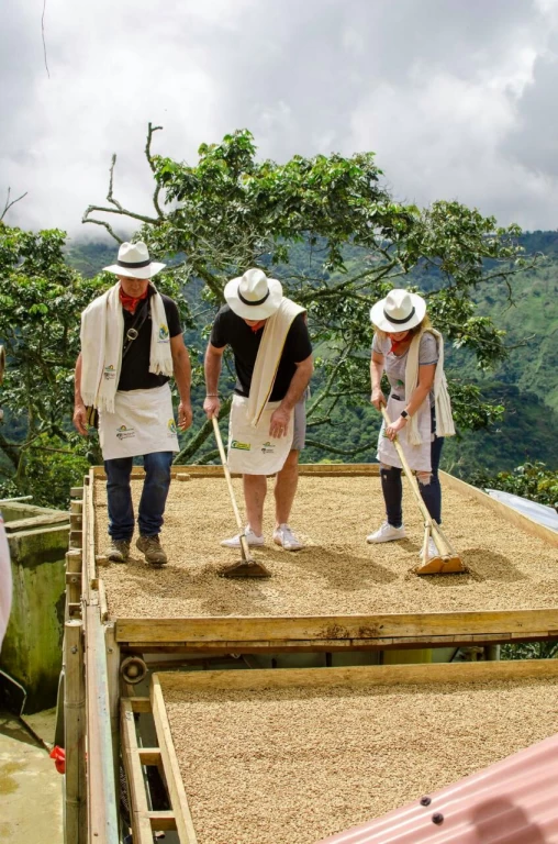 Coffee Tour En Medellín – Experiencia Cafetera Tour Del Café, ¡Viaje ...